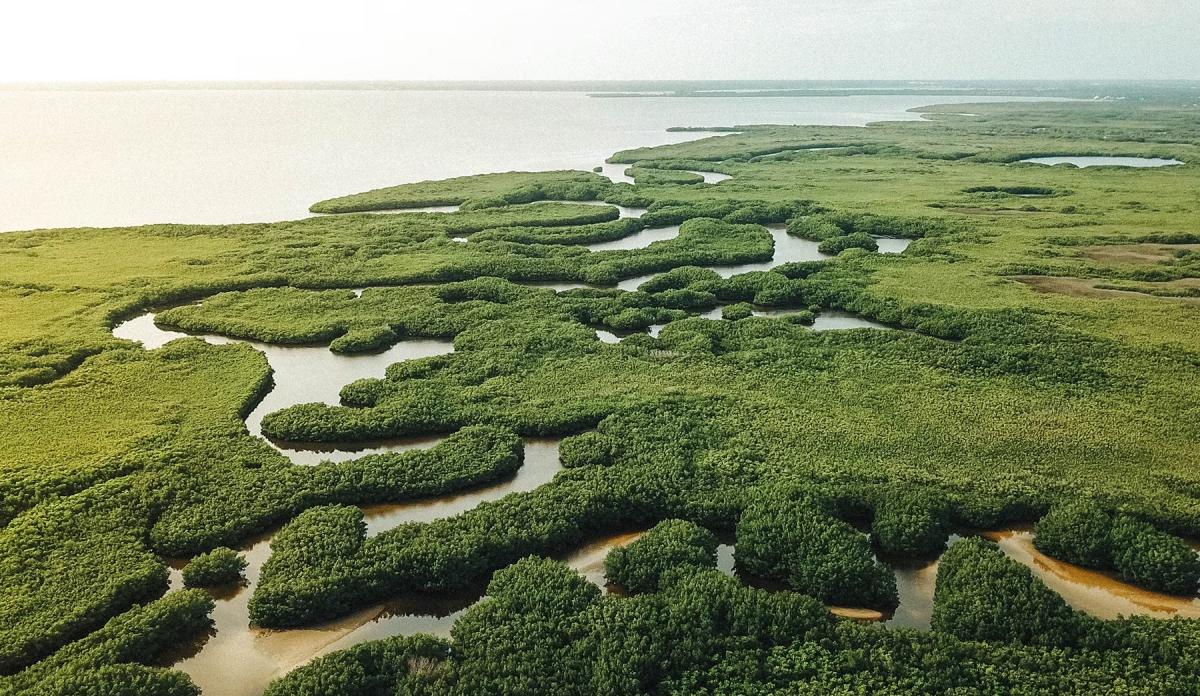 Publix Good Together