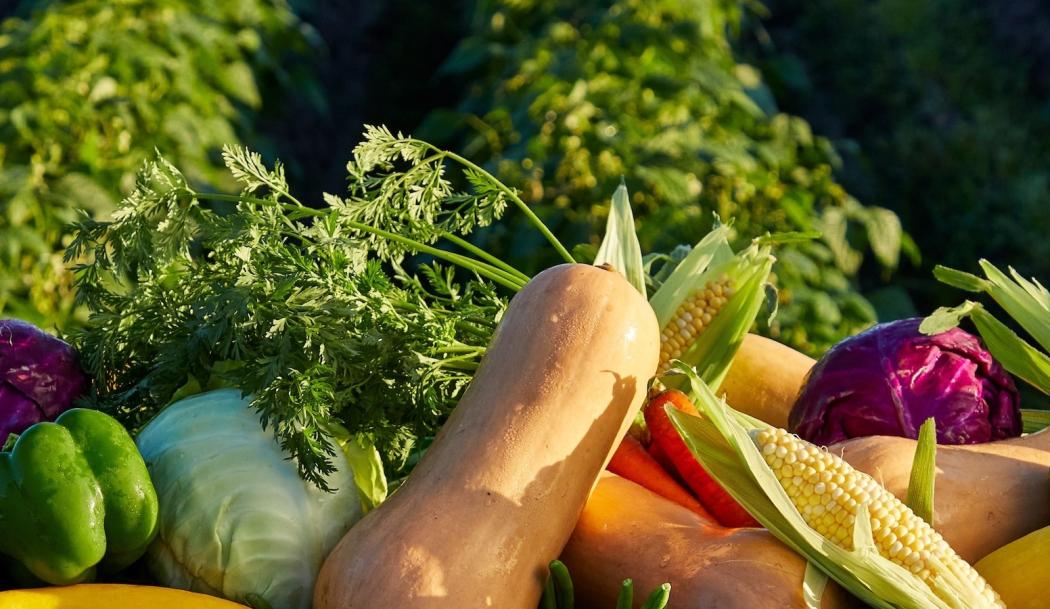 Helping to End Hunger | Publix Corporate Social Responsibility